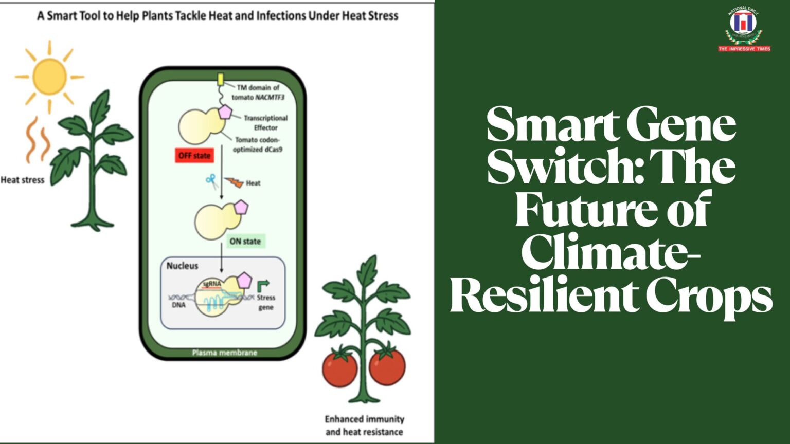 New CRISPR-Based Gene Switch Helps Plants Beat Heat and Disease, Paves ...